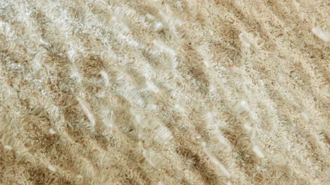 Seabed texture, sea floor sand ripple wa... | Stock Video | Pond5