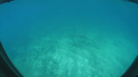 Underwater Window Stock Footage ~ Royalty Free Stock Videos | Pond5