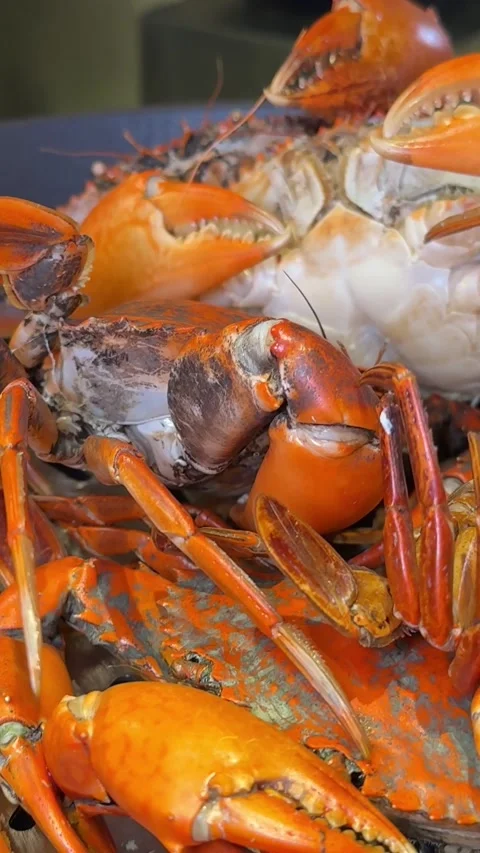 Cajun King Stock Videos – Royalty-Free HD & 4K Videos