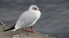 Davidek1 ~ Artist Portfolio ~ Art for Sale | Pond5