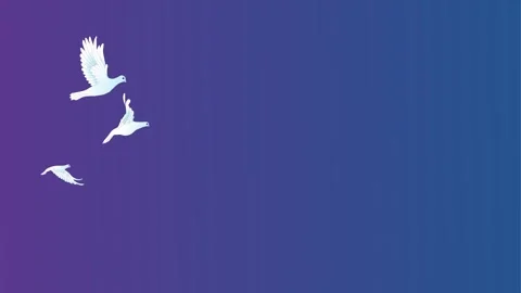 Seagulls flying animation 2d animated ba... | Stock Video | Pond5