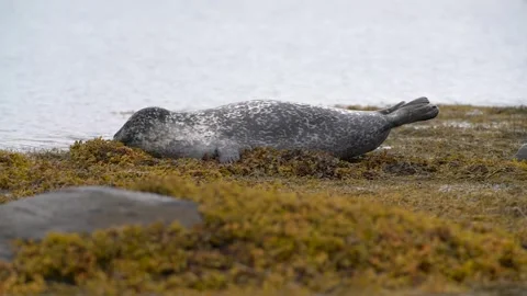 Epic Hand Off Stock Videos – Royalty-Free HD & 4K Videos | Pond5