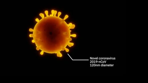 Seamless, Animated Loop of an Orange Vir... | Stock Video | Pond5