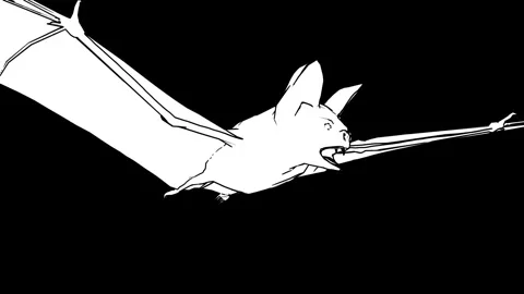 Seamless animation of a bat in hand draw... | Stock Video | Pond5