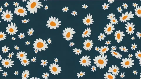 Seamless animation with daisy flower on ... | Stock Video | Pond5