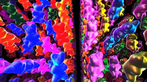 Dancing Bears S Stock Videos Royalty Free Hd 4k Videos Page 3