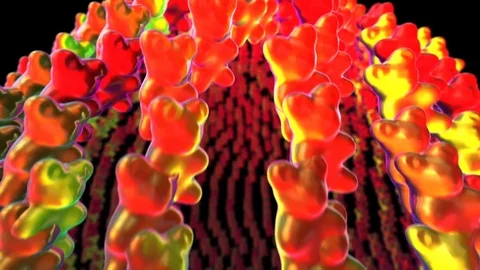 Dancing Bears S Stock Videos Royalty Free Hd 4k Videos Page 3