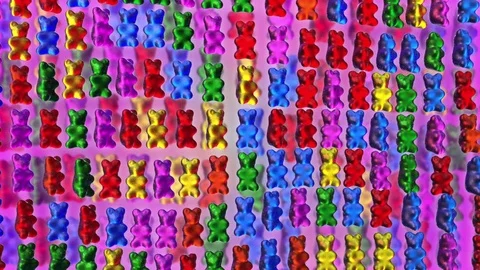 Dancing Bears P Stock Videos – Royalty-Free HD & 4K Videos