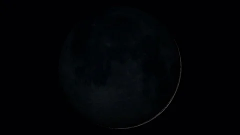 Animation Immage Stock Videos – Royalty-Free HD & 4K Videos