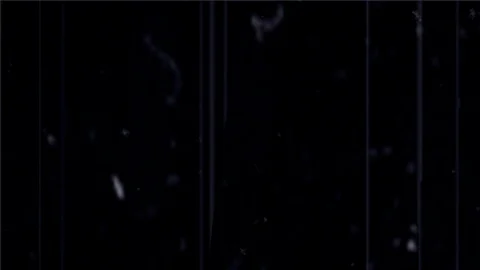 Seamless animation of old film. Roll mot... | Stock Video | Pond5