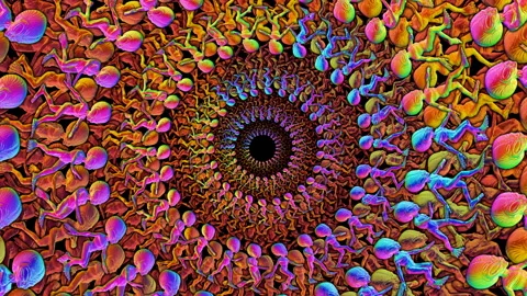 Seamless animation of psychedelic swirl ... | Stock Video | Pond5