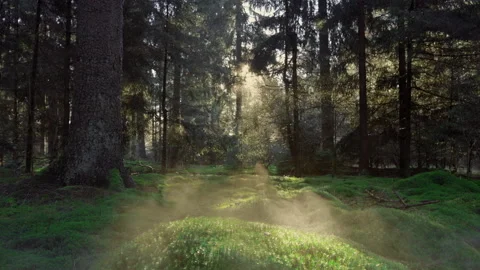 Fog Loop Seamless Stock Video Footage | Royalty Free Fog Loop Seamless ...