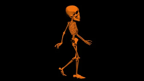 Seamless funny animation of a walking sk... | Stock Video | Pond5