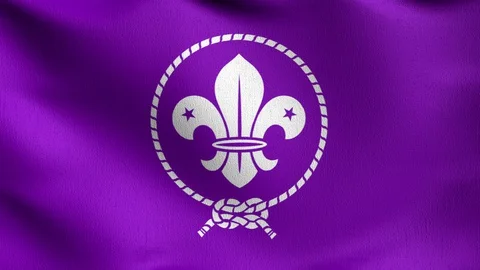 Seamless Loop 4K VDO. Flag of World Orga... | Stock Video | Pond5