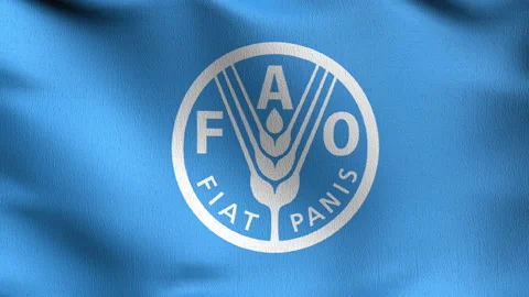 Fao Flag Stock Videos – Royalty-Free HD & 4K Videos