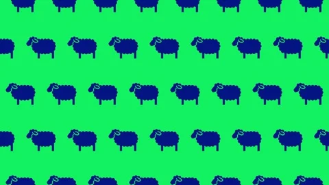Seamless loop animation of Sheep icons o... | Stock Video | Pond5