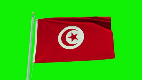 Seamless loop animation of the Tunisia f... | Stock Video | Pond5