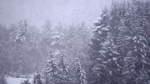 seamless loop of heavy snow falling agai... | Stock Video | Pond5
