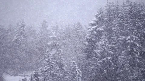 seamless loop of heavy snow falling agai... | Stock Video | Pond5
