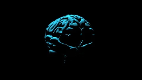 Seamless loop of a human brain revolving... | Stock Video | Pond5