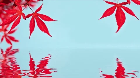 Japanese Gifs Stock Videos – Royalty-Free HD & 4K Videos | Pond5