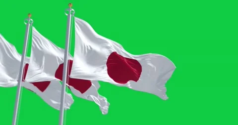 Seamless loop in slow motion of Japan na... | Stock Video | Pond5