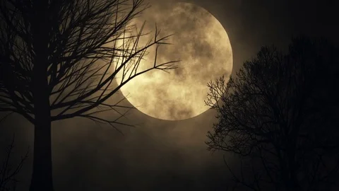 Seamless loop spooky moon background. tr... | Stock Video | Pond5