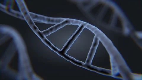 Seamless looping animation of rotating D... | Stock Video | Pond5