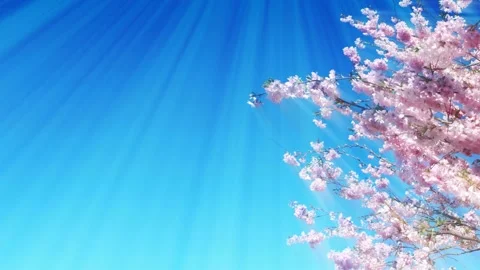 seamless looping motion background of a ... | Stock Video | Pond5