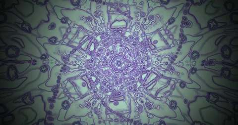 Ex Video Stock Videos – Royalty-Free HD & 4K Videos