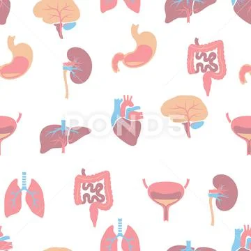 Seamless pattern with internal organs. Human body anatomy. Health care and ~ Clip Art #169168699