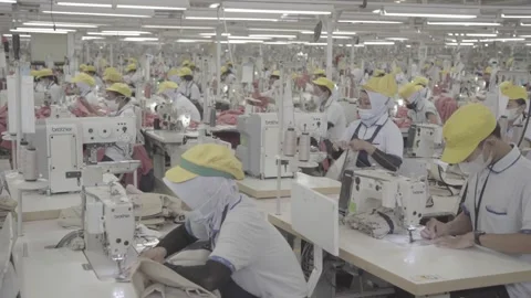 Doing Work Stock Videos – Royalty-Free HD & 4K Videos