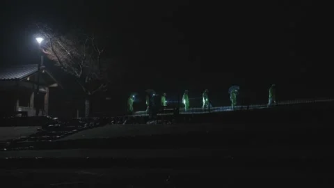 Search and Rescue Night Stock Videos – Royalty-Free HD & 4K Videos