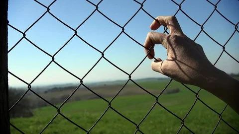 Search For Wire Stock Videos – Royalty-Free HD & 4K Videos