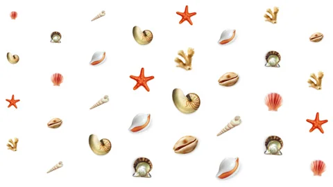 Seashells 8K pattern loop background | Stock Video | Pond5