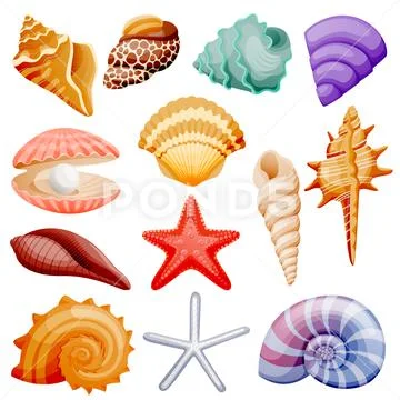 Seashells collection. Vector flat cartoon illustration. Summer travel ...