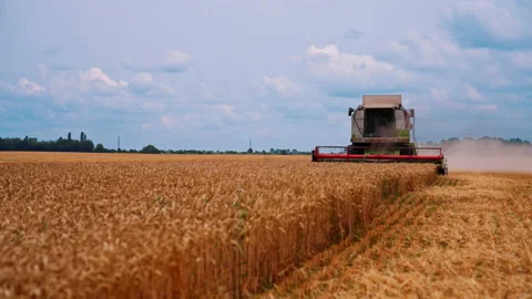 Harvesting Stock Videos – Royalty-Free HD & 4K Videos