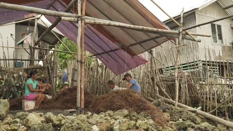 Seaweed farming community in Palawan, Ph... | Stock Video | Pond5