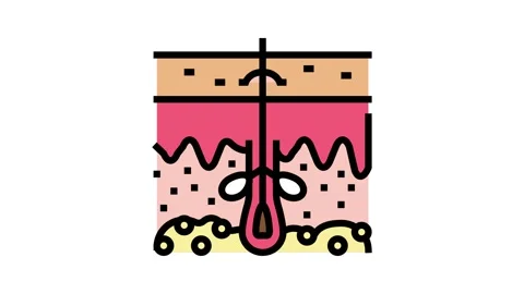 sebum skin production color icon animati... | Stock Video | Pond5