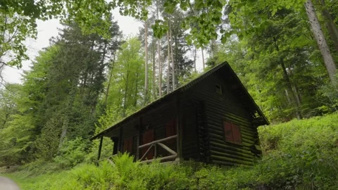 Secluded cabin in woods of Black forest,... | Stock Video | Pond5