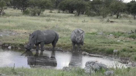 Second Cirst Stock Videos – Royalty-Free HD & 4K Videos | Pond5