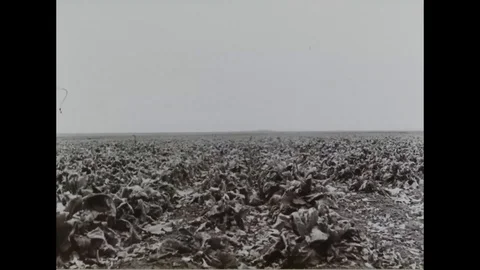 Secretary Of Agriulture Stock Videos – Royalty-Free HD & 4K Videos | Pond5