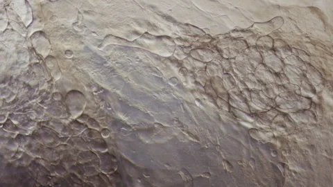 A section of pig meat under a microscope... | Stock Video | Pond5