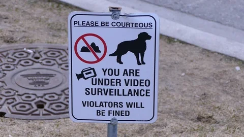 Security camera warning sign at dog park... | Stock Video | Pond5