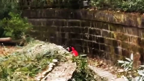 Girs Security Gurd Stock Videos – Royalty-Free HD & 4K Videos | Pond5