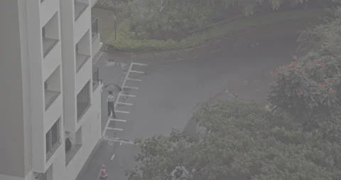 Girs Security Gurd Stock Videos – Royalty-Free HD & 4K Videos | Pond5