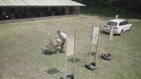 Security Arts Stock Videos – Royalty-Free HD & 4K Videos | Pond5