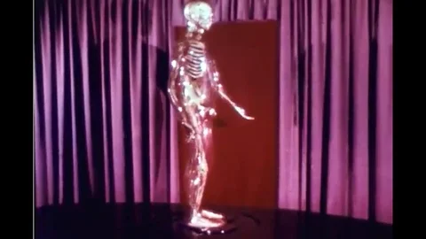 A see through model of the human body in... | Stock Video | Pond5