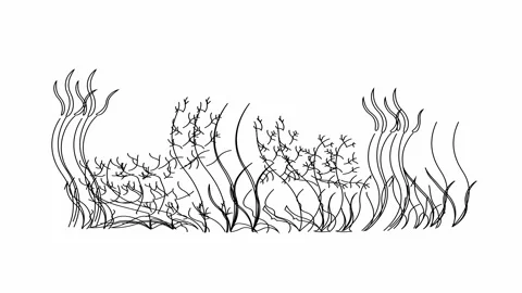 Growing Grass Animation Stock Footage ~ Royalty Free Stock Videos | Pond5