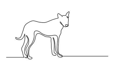 Dog Line Drawing Stock Footage ~ Royalty Free Stock Videos | Pond5